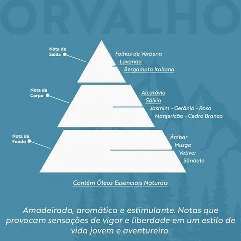 Kit Fenômeno, Spray e Sachês de Orvalho Acqua Aroma - Shop Nenem
